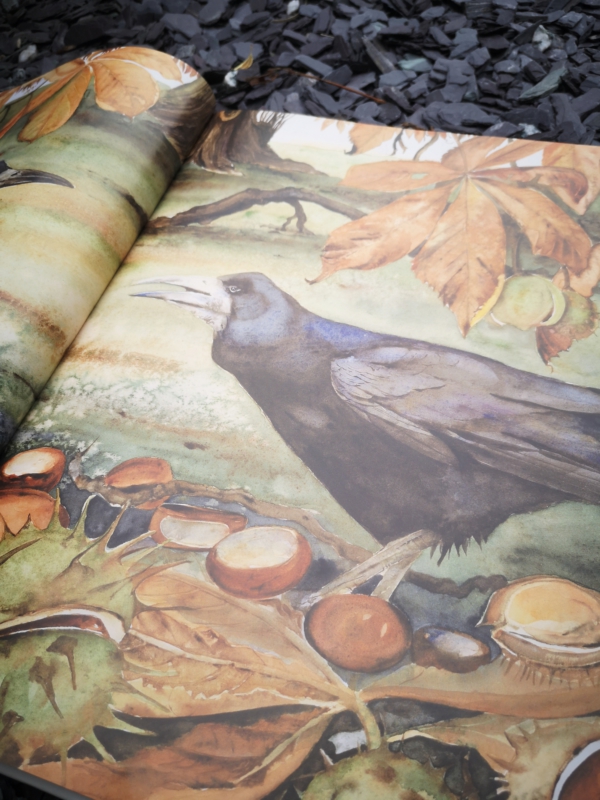 Lost Words and Nature-based Solutions - Liz Pearson Mann